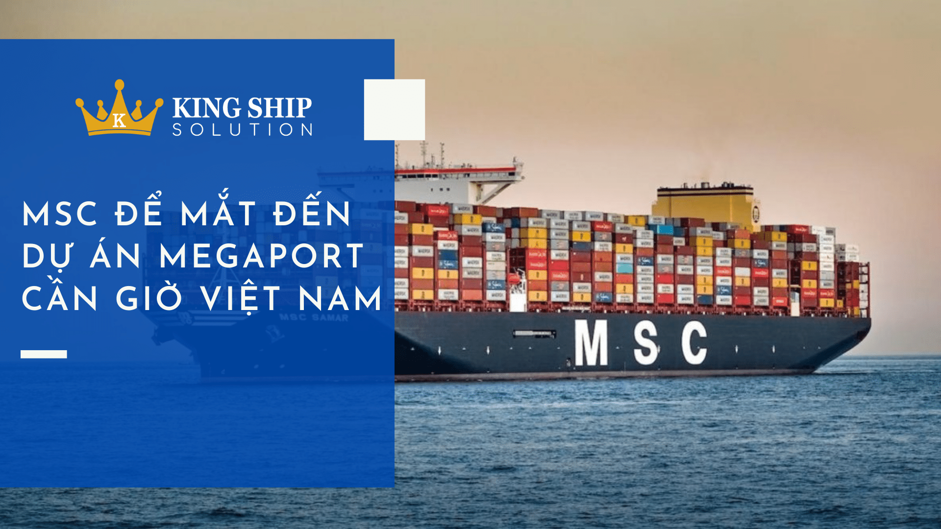 MSC để mắt đến dự án megaport tại Cần Giờ Việt Nam - King Ship Solution ...
